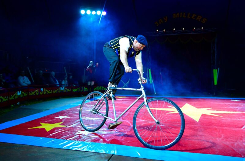 Gallery - Jay Miller's Circus